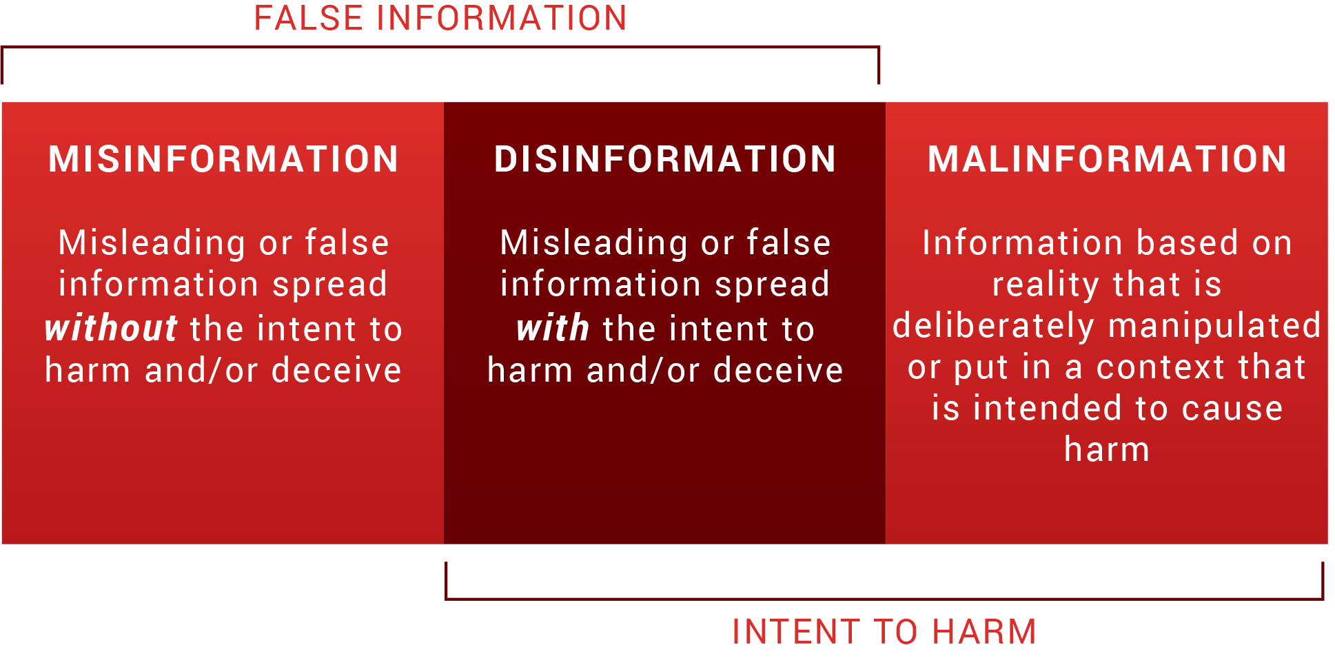 Deception and Intent: Understanding Cyber Disinformation Campaigns